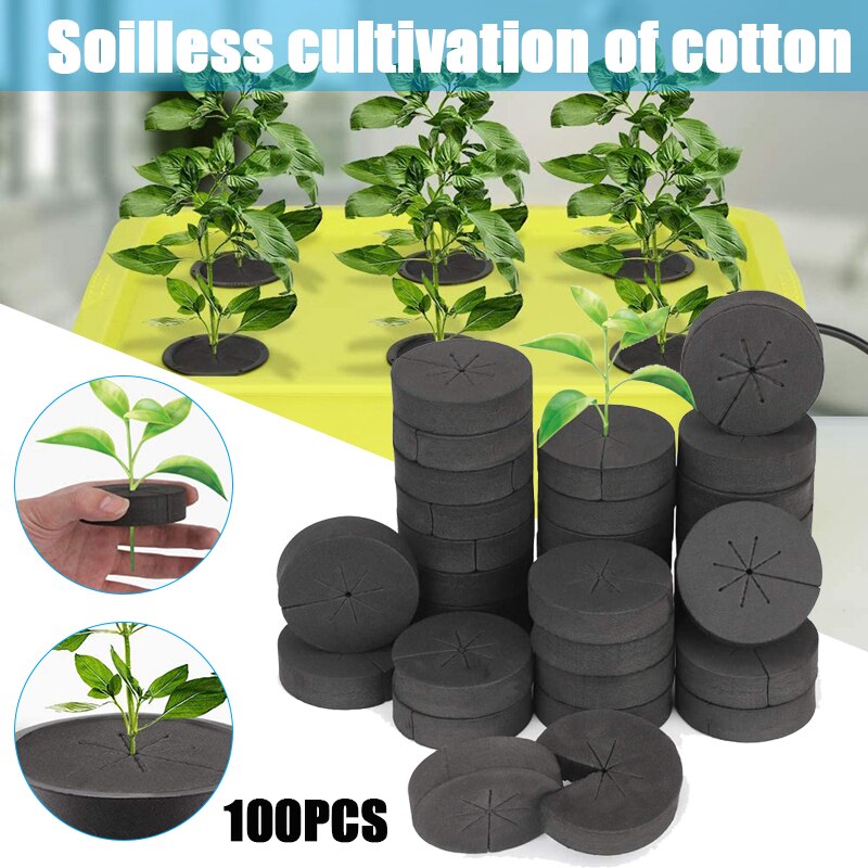 100Pcs Transplanting sponge soilless culture plant... – Grandado