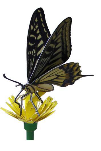 Papilio insect paper model 3D handmade DIY kinderg... – Grandado