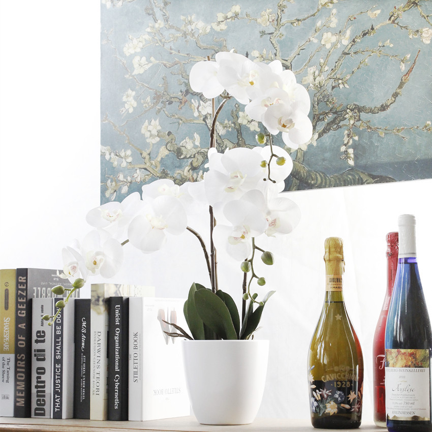 7 huvuden phalaenopsis orkidé blomma konstgjord bl... – Vicedeal