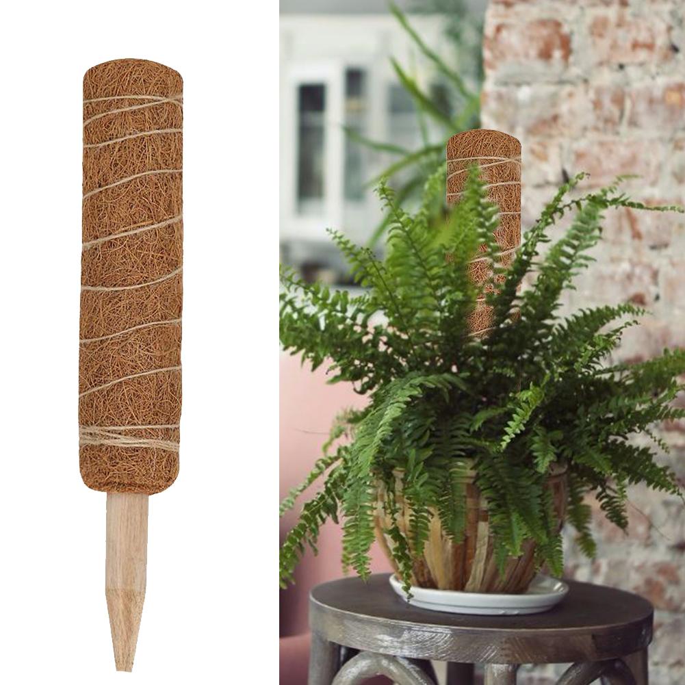 Coir Totem Pole Plant Support Pole Coconut Sticks ... – Vicedeal