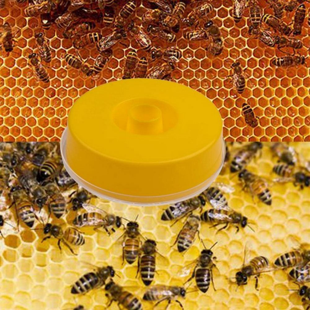 Bee Disc Feeder Kunststoff Disc Feeder Runde Top F... – Vicedeal