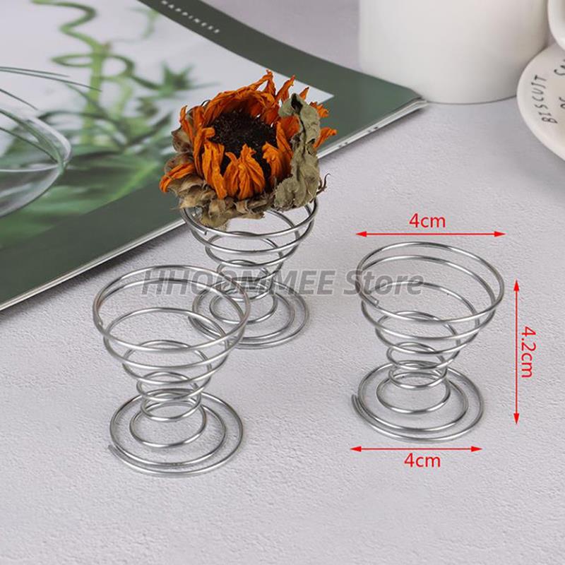 6pcs Air Plant Spring Wire Tabletop Tillandsia Hol... – Grandado
