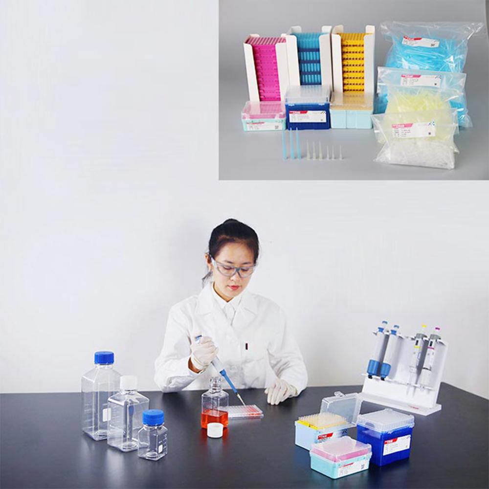 Laboratory Supplies Linetype Pipette Holder Labora... – Vicedeal