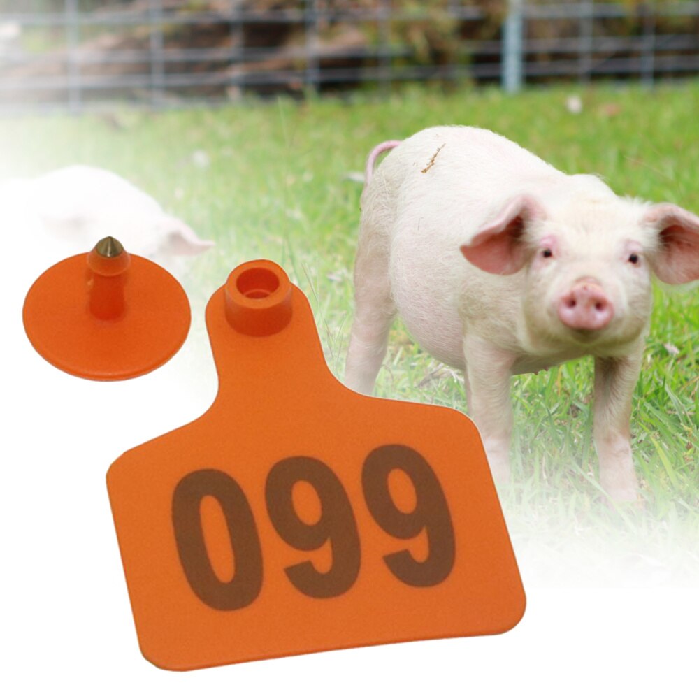 100 Pcs Farm Aniamls Cow Pig Ear Tag Signs Farm An... – Grandado