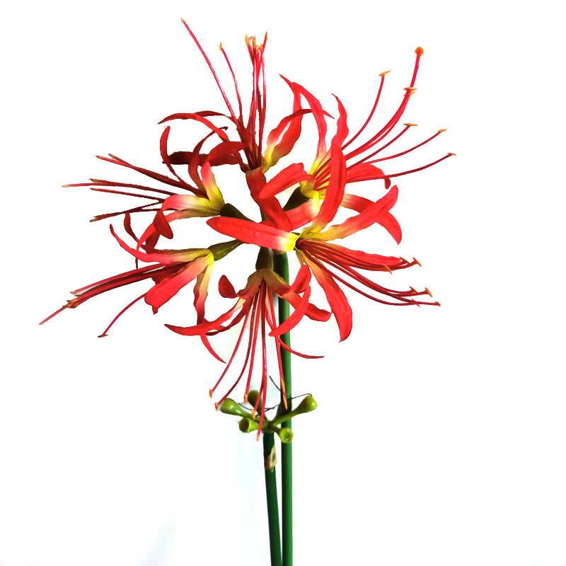 1PC Beautiful Red Spider Lily Stems Artificial Hig... – Grandado