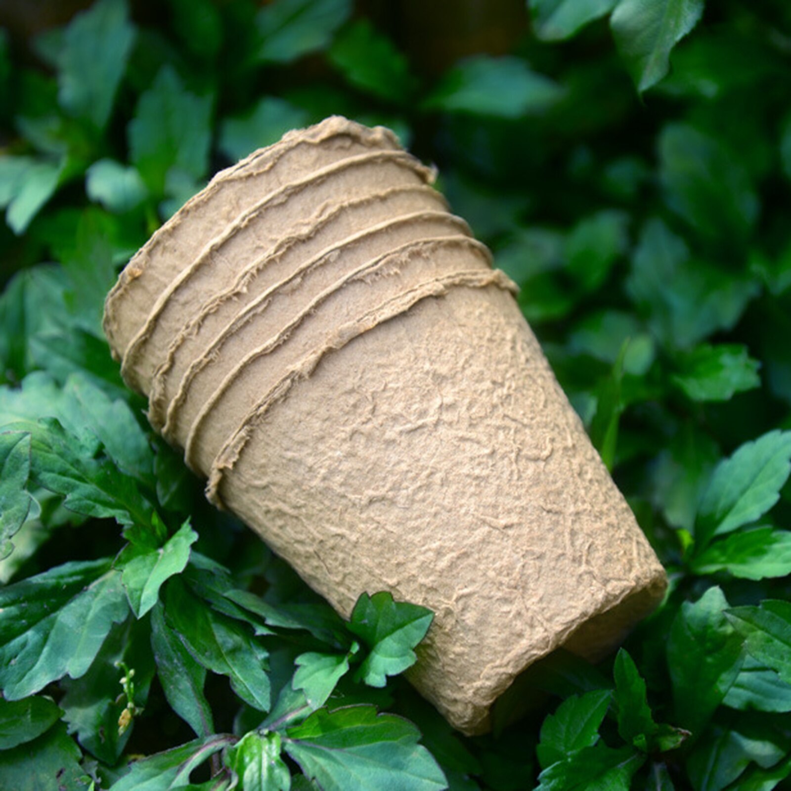 25Pcs Round Biodegradable Paper Pulp Peat Pots Pla... – Grandado