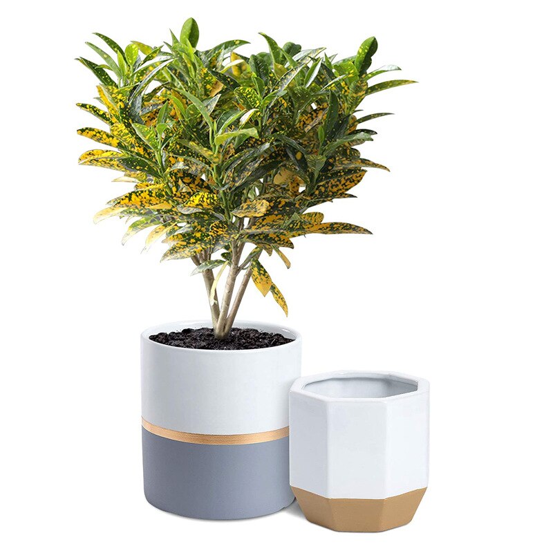 Gold ceramic flower pot multi-meat flower pot floo... – Grandado