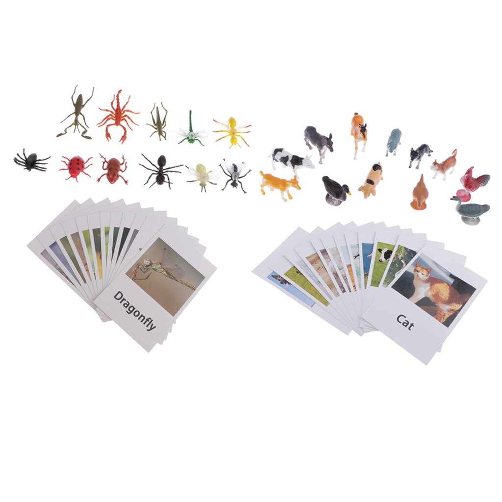 24Pcs Animals Model Card Homeschool Group Of Anima... – Grandado