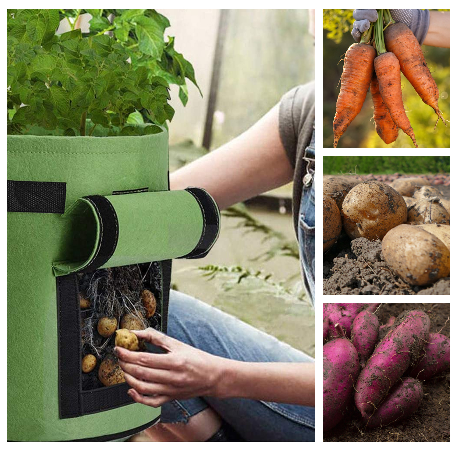 Bolsa de cultivo de plantas de jardín, planta de s... – Grandado