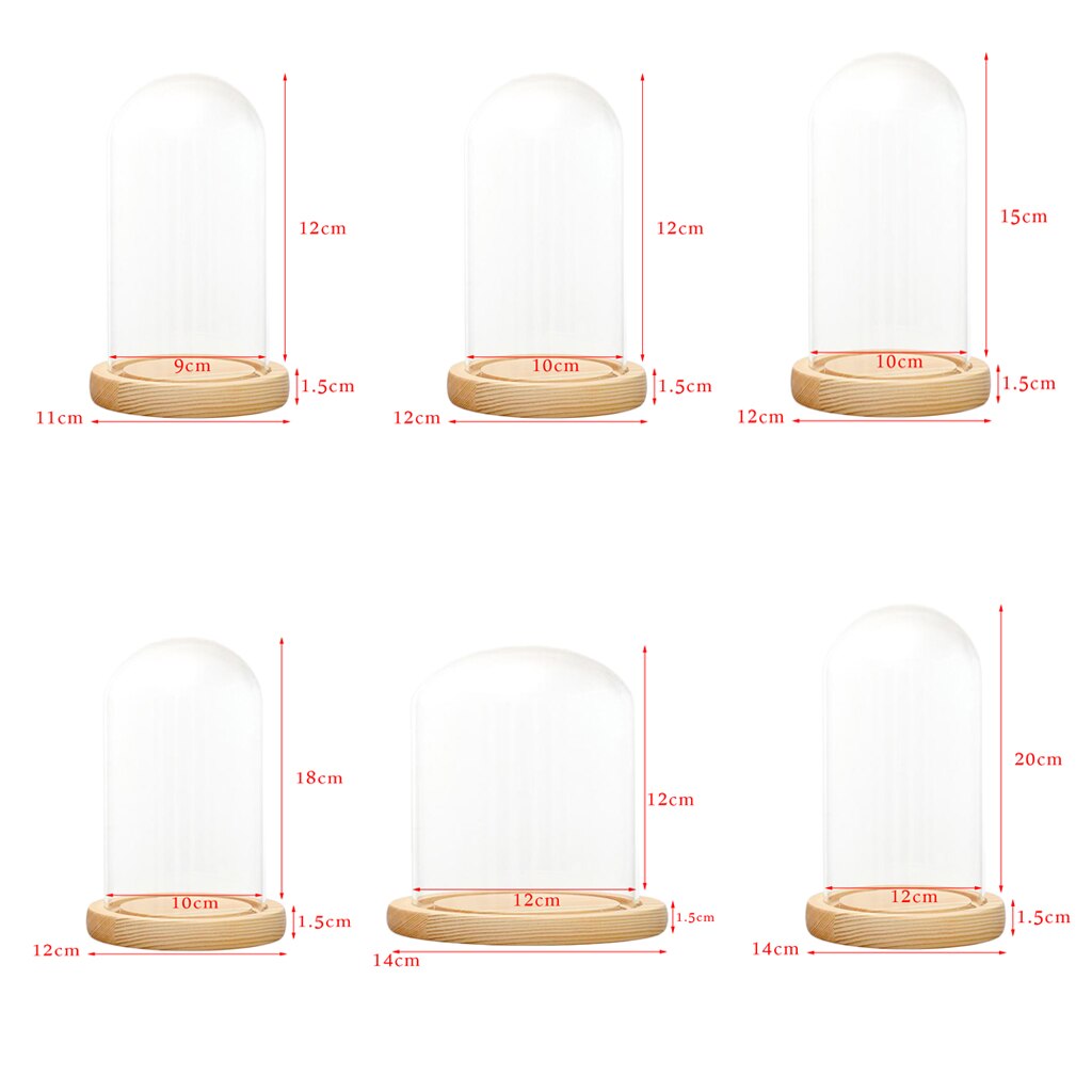 Decorative Clear Glass Cloche Bell Jar Display Cas... – Vicedeal