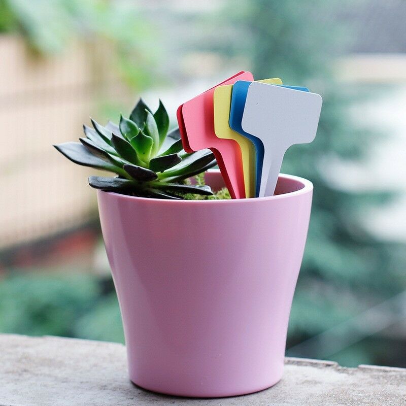 100pcs/set of colorful plant tag garden mini T tag... – Vicedeal