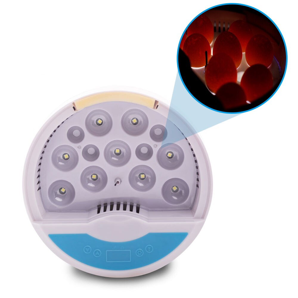 Mini Digital 9 Egg Incubator Poultry Hatcher Machi... – Grandado
