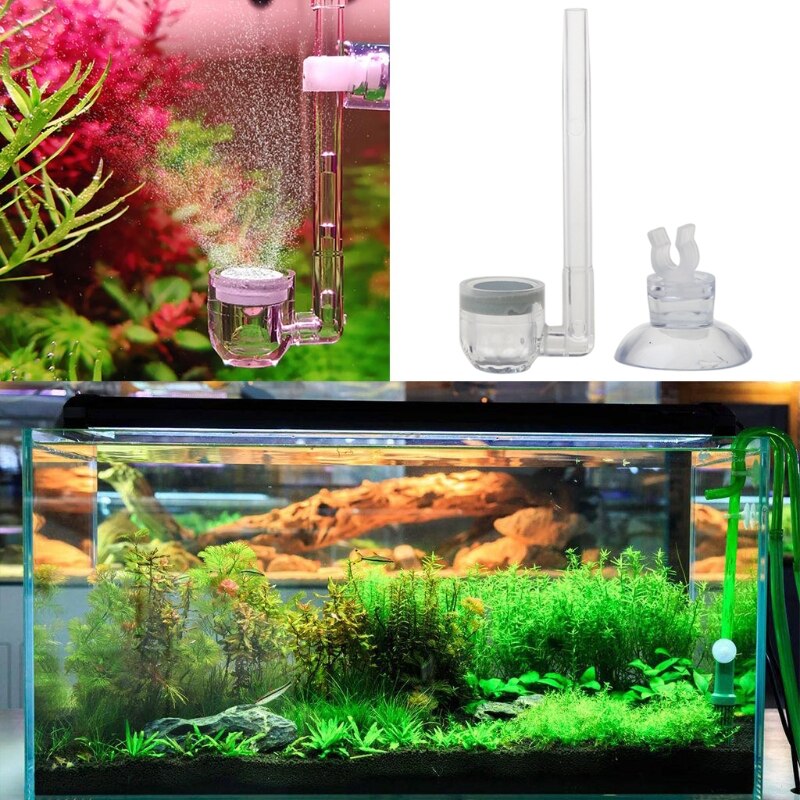 Akvarium co2 system boble diffuser u formet forst... – Grandado