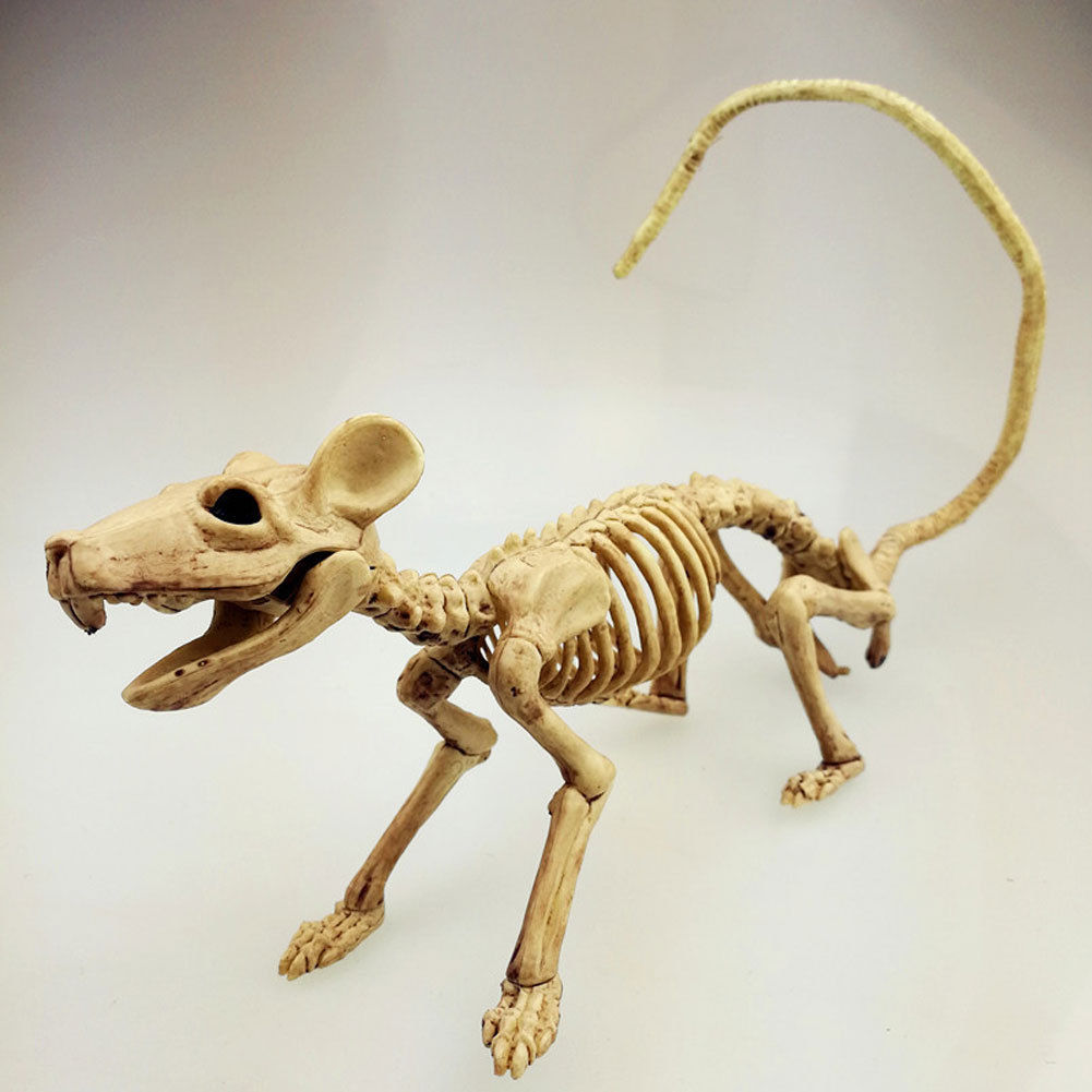 Halloween Skelet Kat Hond Muis Prop Animal Botten ... – Vicedeal