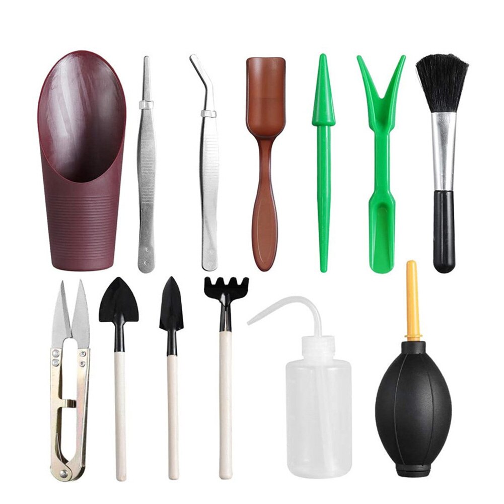 Garden Transplanting Kit Succulent Care Succulent ... – Grandado