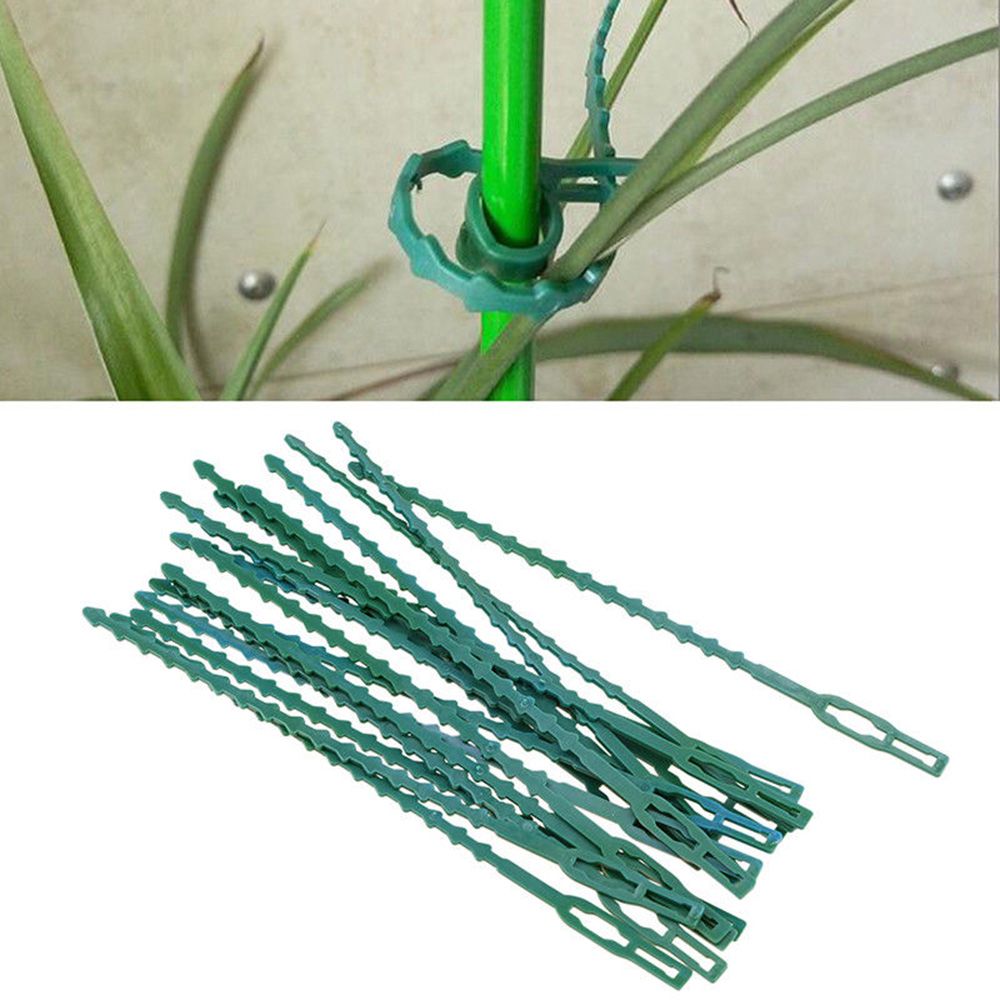 50pc Adjustable Plastic Plant Cable Ties Reusable ... – Vicedeal