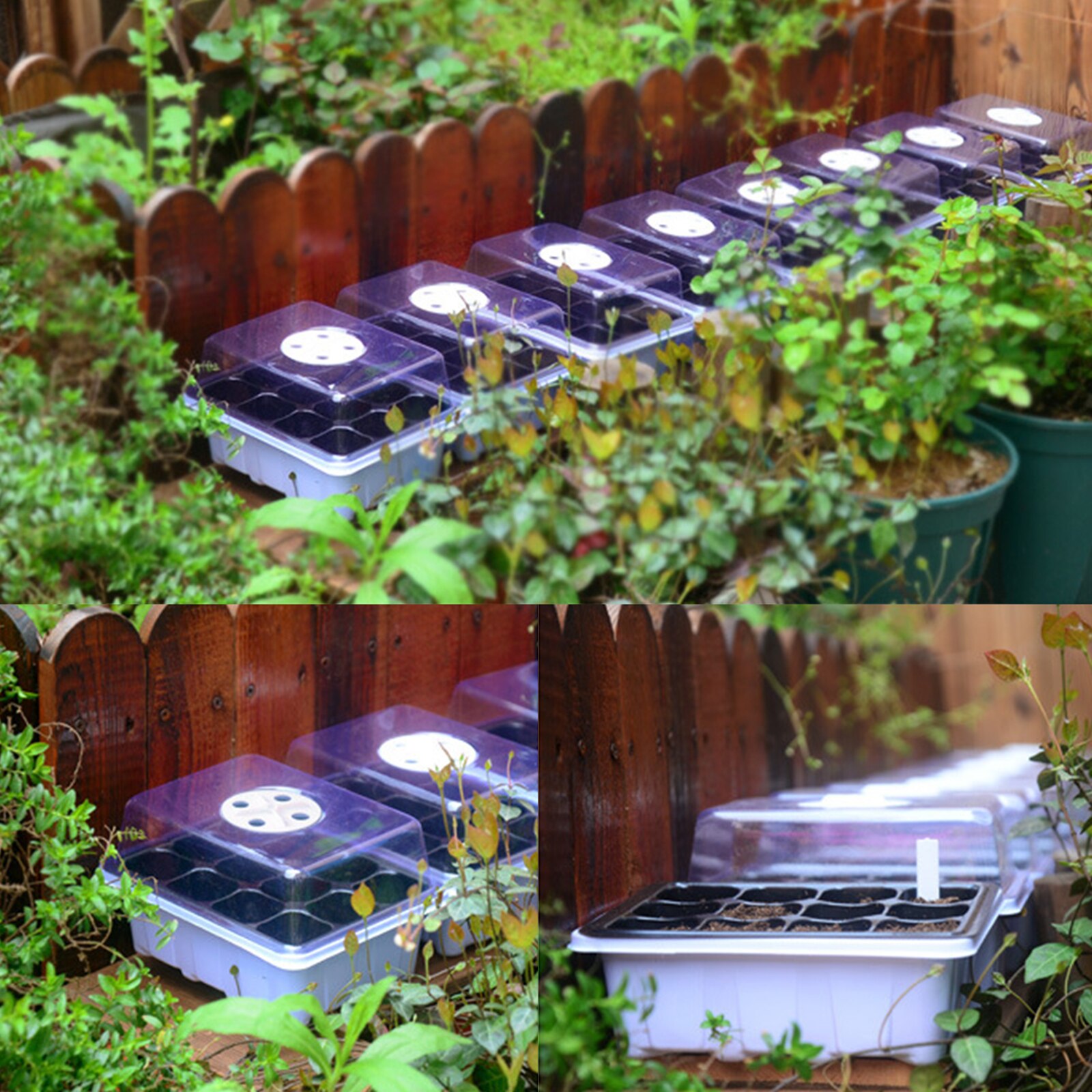 10 Pack Seed Starter Tray Kit Humidity Adjustable ... – Vicedeal