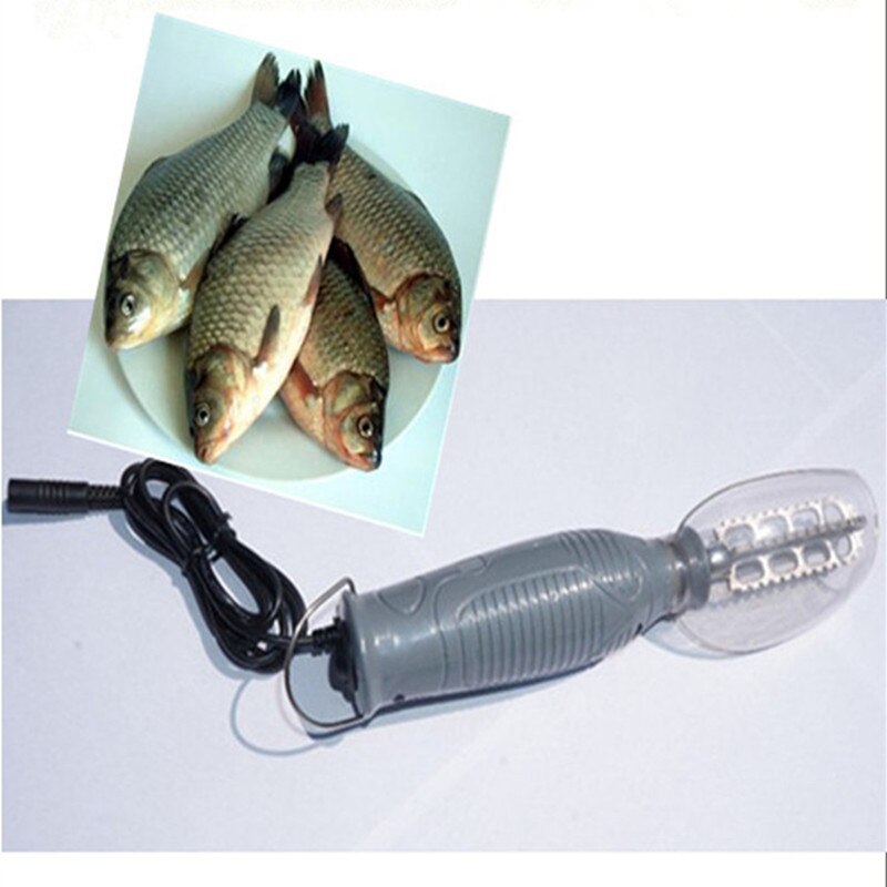 easy to operate fish clean tool electric fish scal... – Grandado