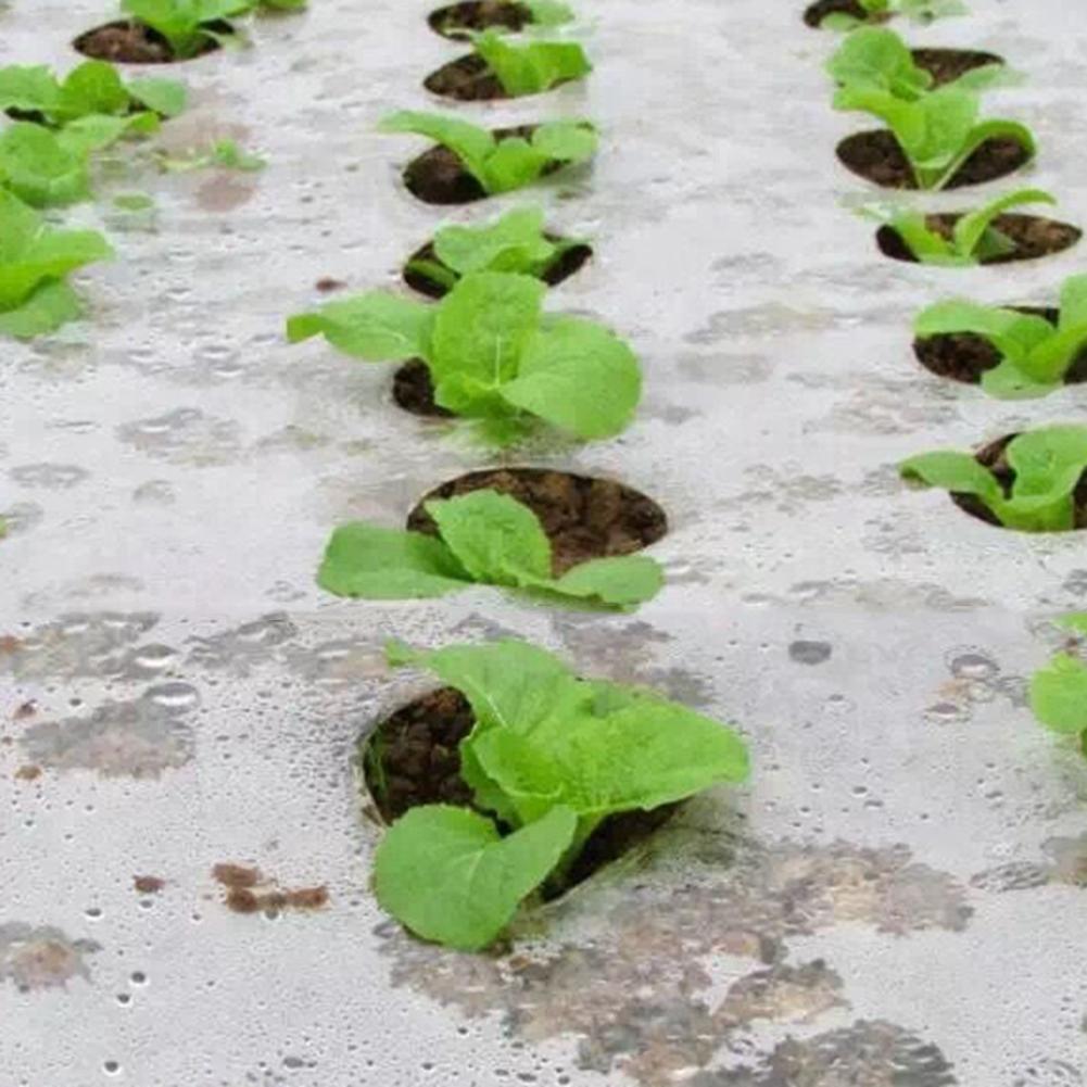 10m*95cm 5Holes Home Garden Film Agricultural Vege... – Grandado