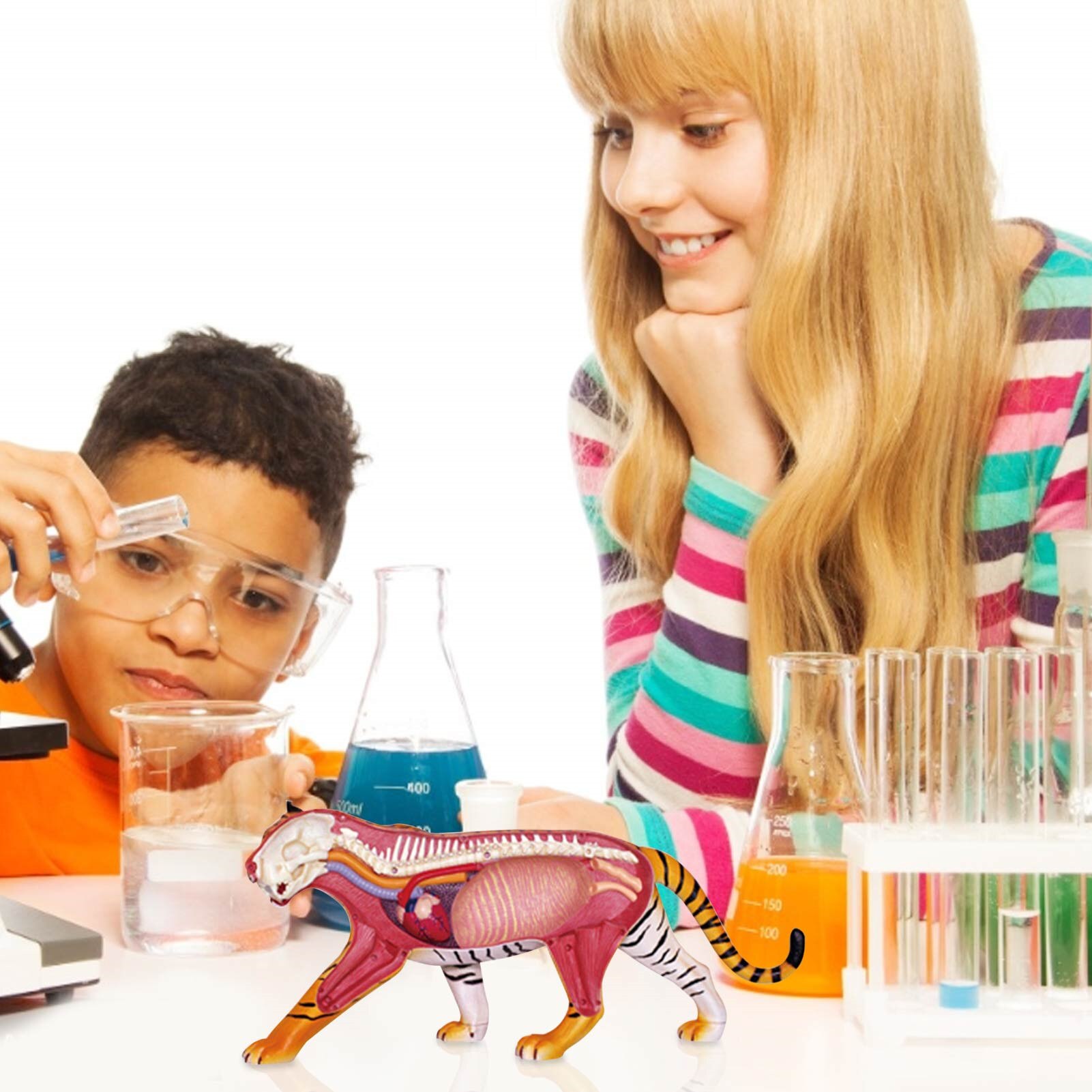 4D Assembling Toy For Kid Tiger Skeleton Model Chi... – Grandado