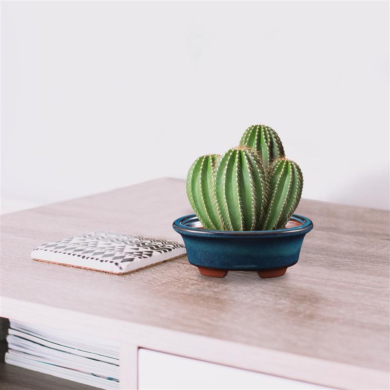 Simple Glazed Flower Pot Macetas Garden Accessorie... – Vicedeal