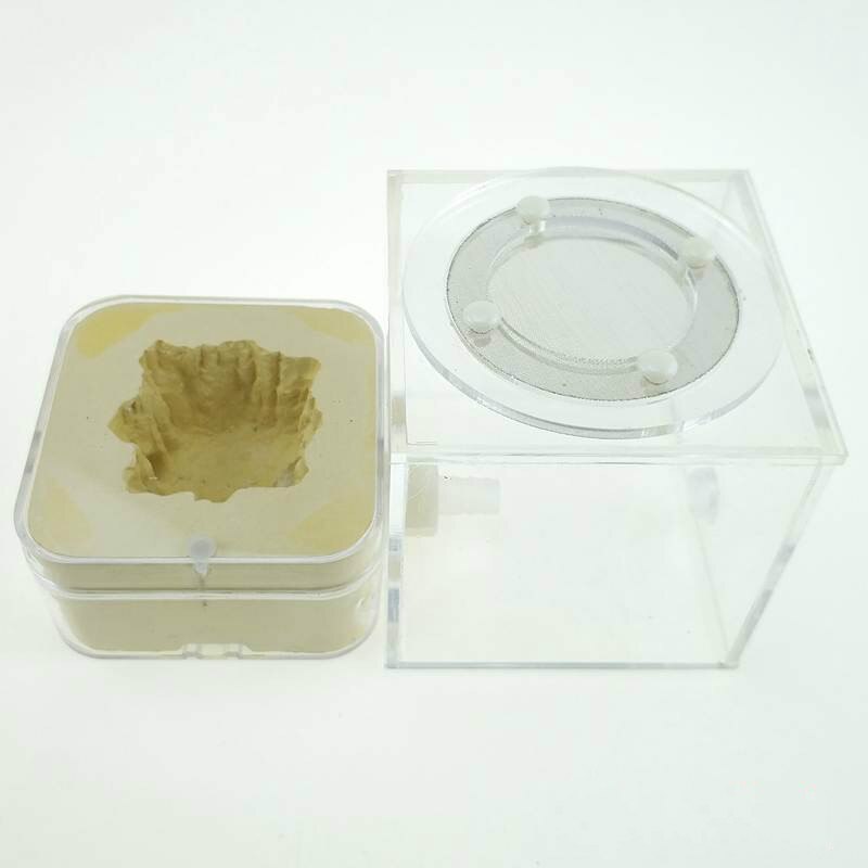 1PCS Pet Ant Workshop Nest of Forest Ant House Sma... – Vicedeal