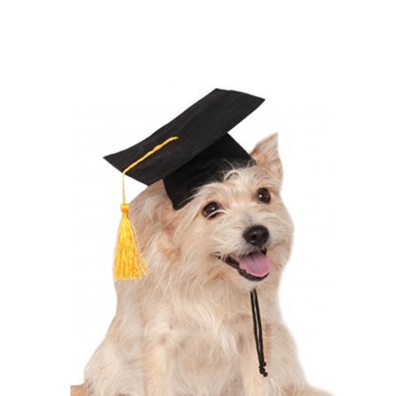 Pet Graduation Caps with Yellow Tassel Dog Cat Cos... – Grandado