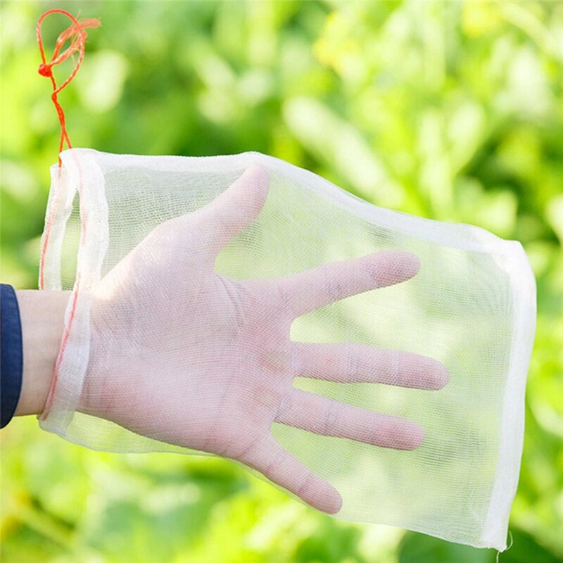 Bolsas de red para protección de plagas, cubierta ... – Grandado