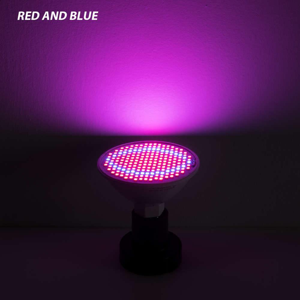 GU10 Grow LED Lights E27 Fitolamp LED Plant Lamp E... – Vicedeal