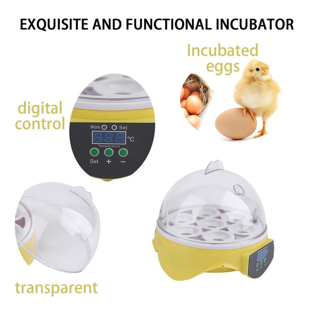 7 Eggs Digital Incubator Automatic Poultry Ducks C... – Grandado