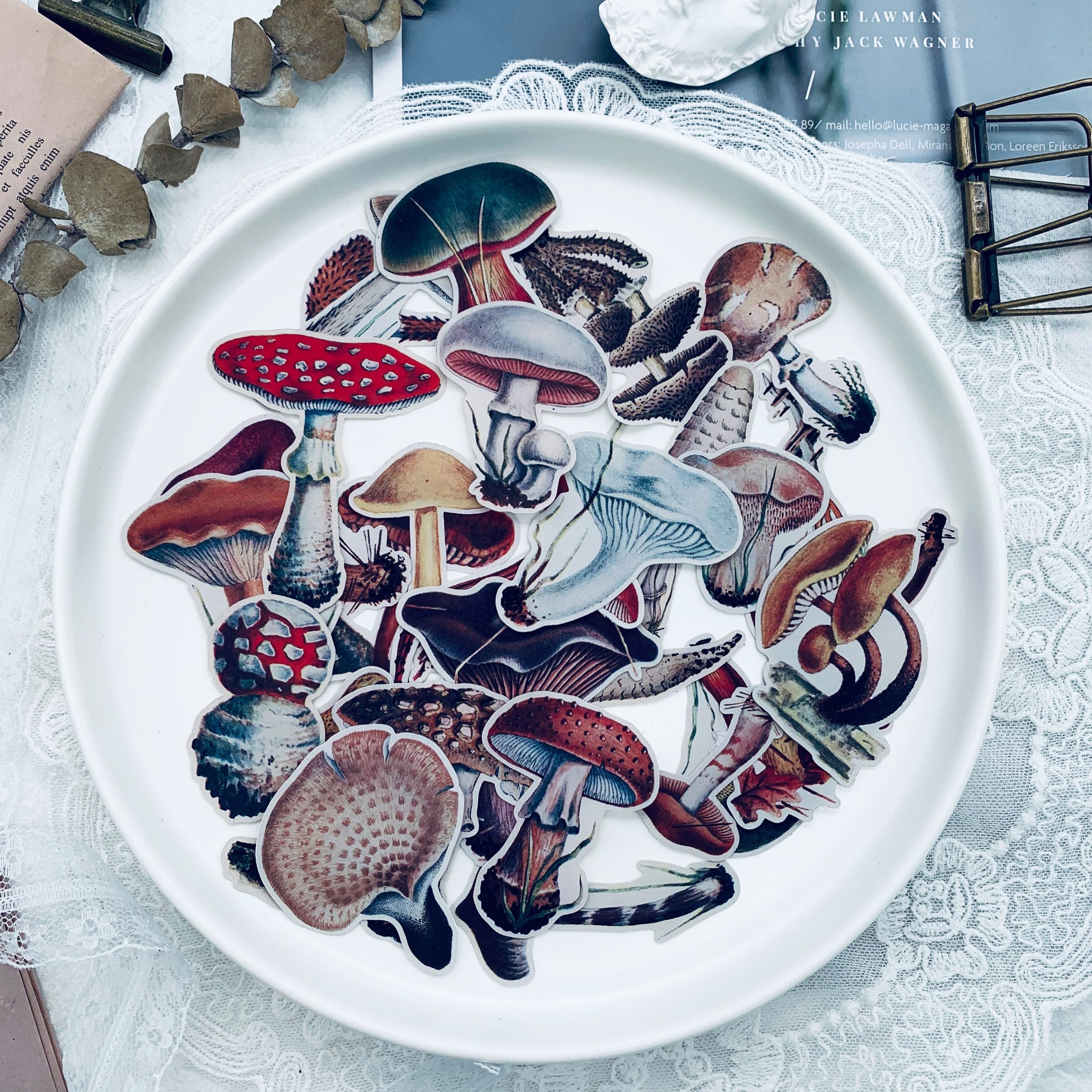 29Pcs Vintage Paddestoel Stickers Reizen Bullet Jo... – Vicedeal