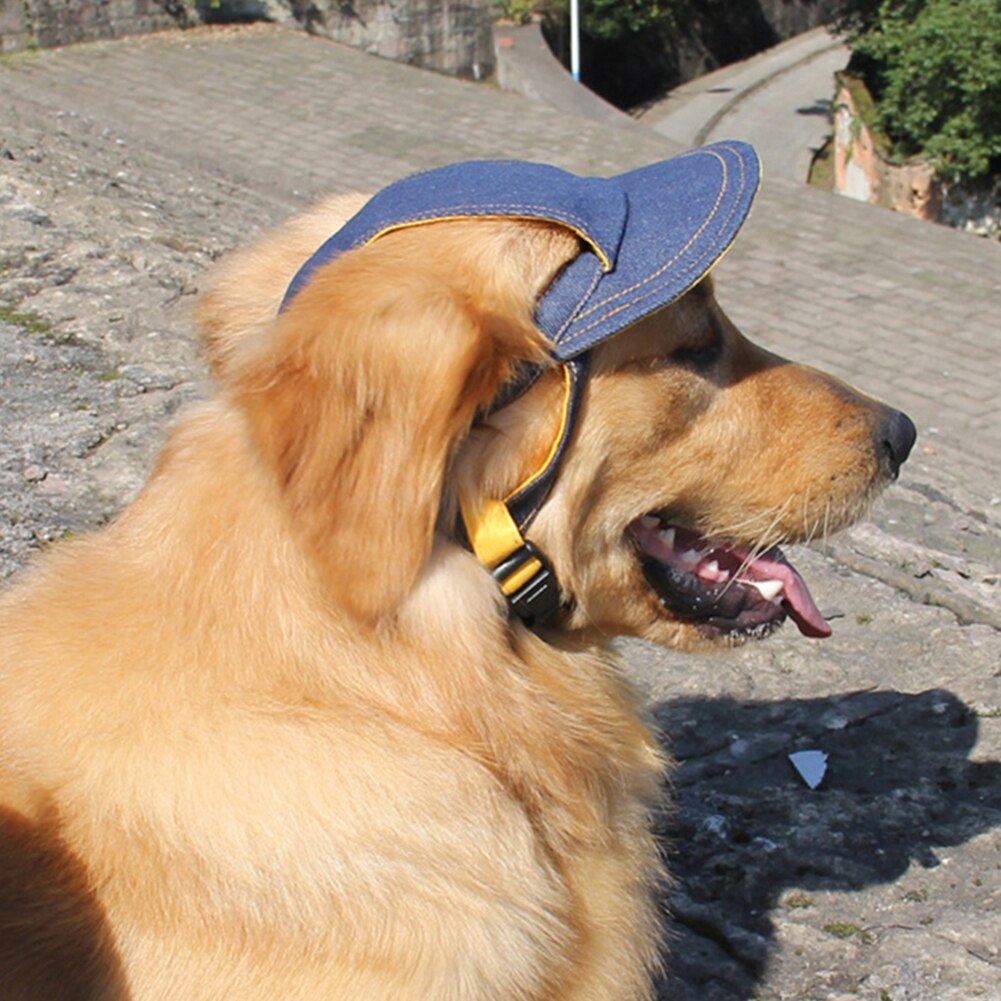 Pet Hoed Met Oor Gaten Baseball Cap Wandelen Zonne... – Grandado