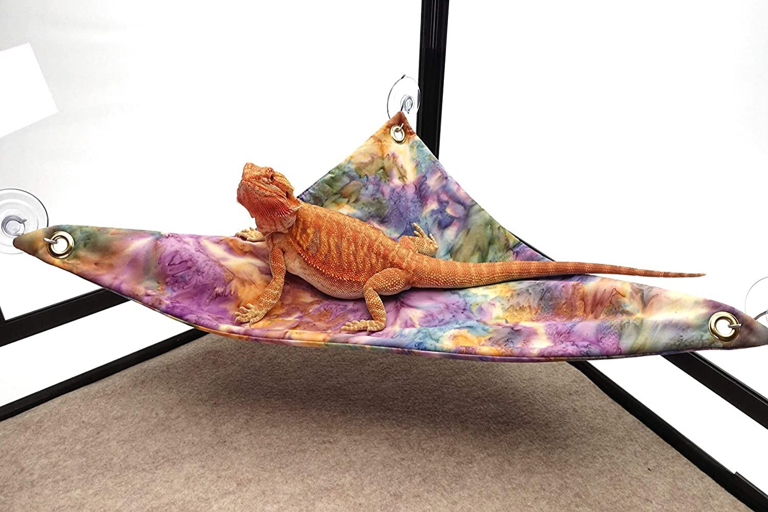 Reptile Hammock Lizard Snake Chameleon Pet Hammock... – Grandado
