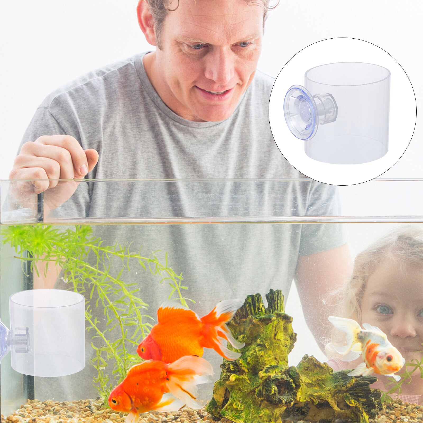 3PCS Fish Feeding Circle Suction Cup Fixed-Point F... – Grandado