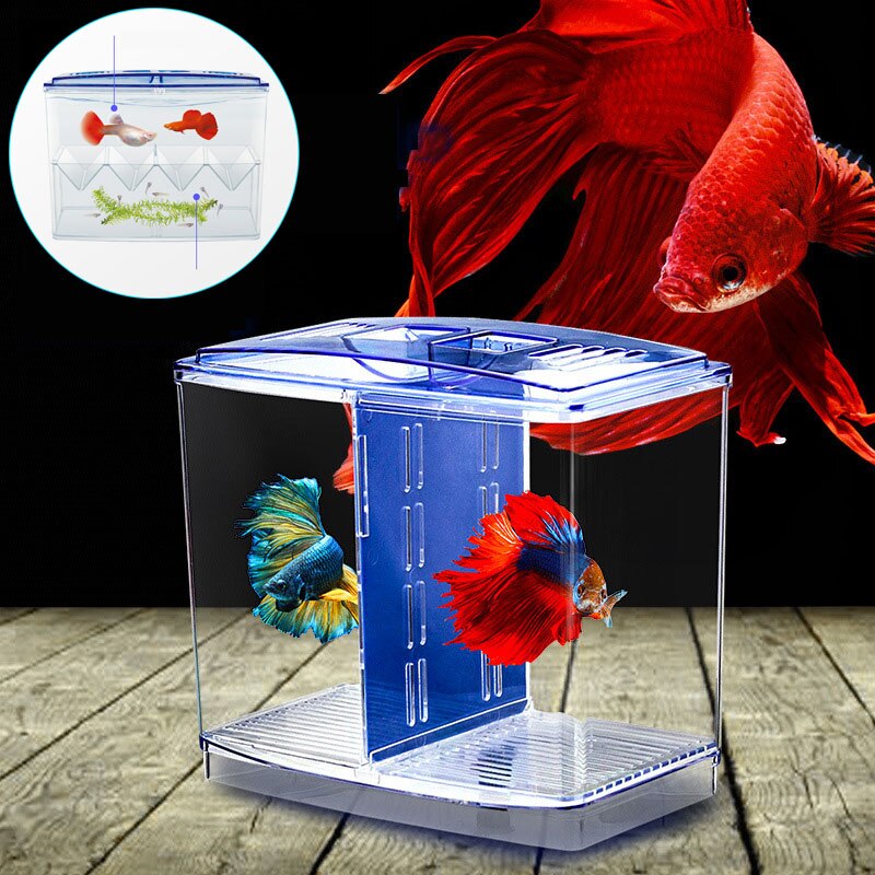 Out-tank Acrylic Fish Breeding Isolation Box Aquar... – Vicedeal