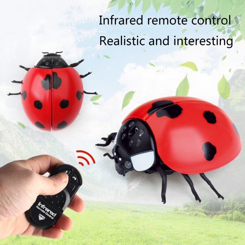 Lifelike Insect Remote Control Toy Trick Supplies ... – Grandado