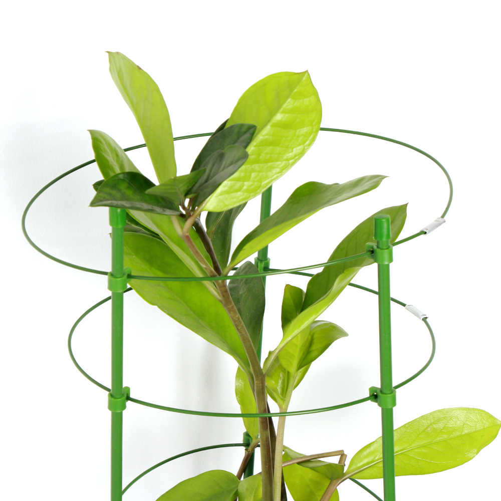 45/60cm Durable Vine Climbing Rack Flower Green Ag... – Grandado