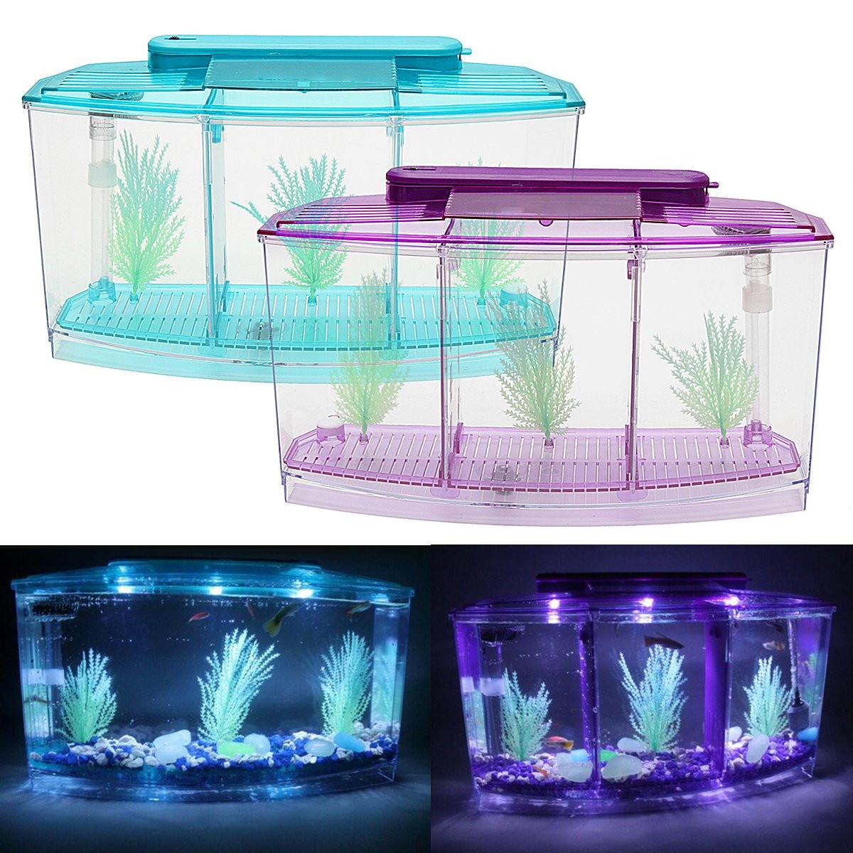 Clear LED Light Betta Aquarium Separate Spawning B... – Grandado