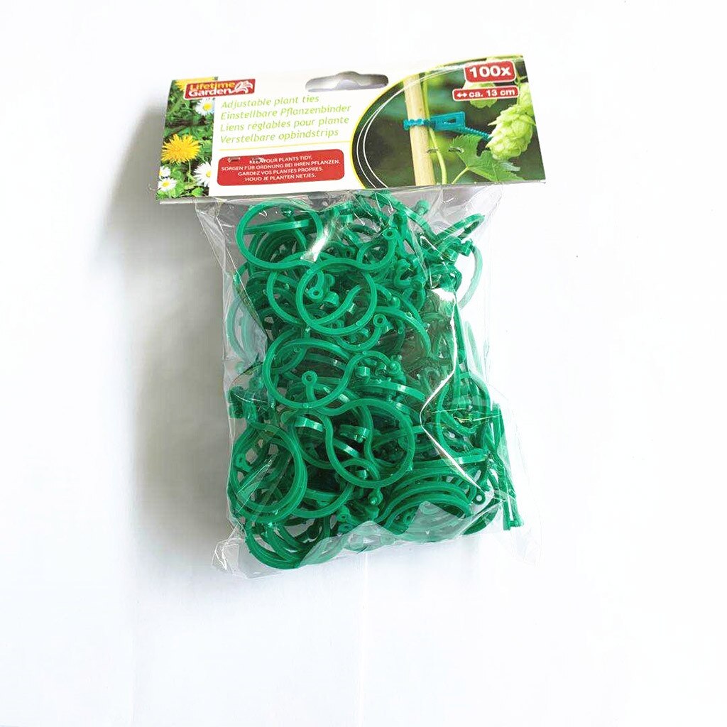 100 pièces botanique-tige vigne cerclage Clips jar... – Grandado