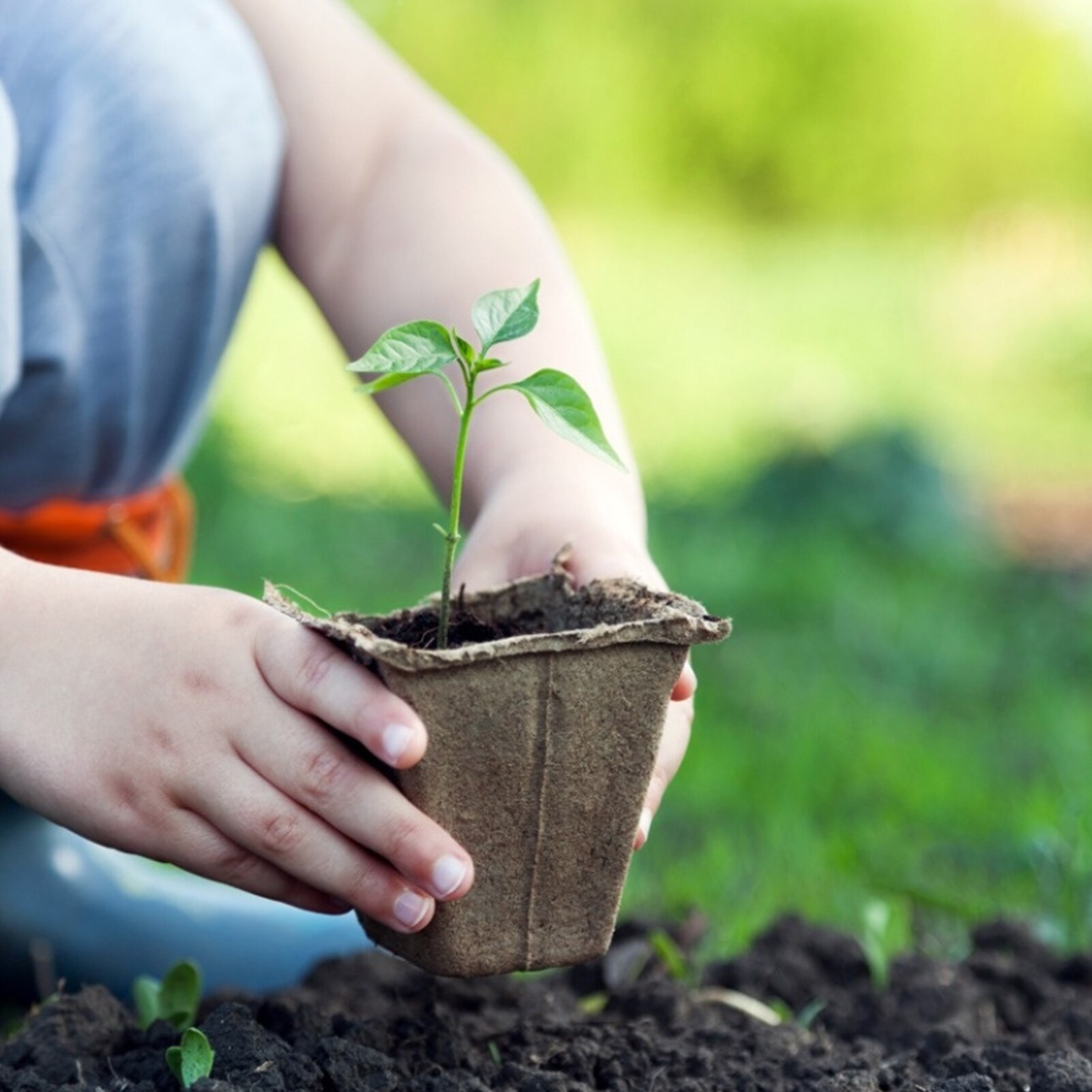 10PCS Seed Starter Pots Trays Kit 12-Hole Pulp See... – Vicedeal