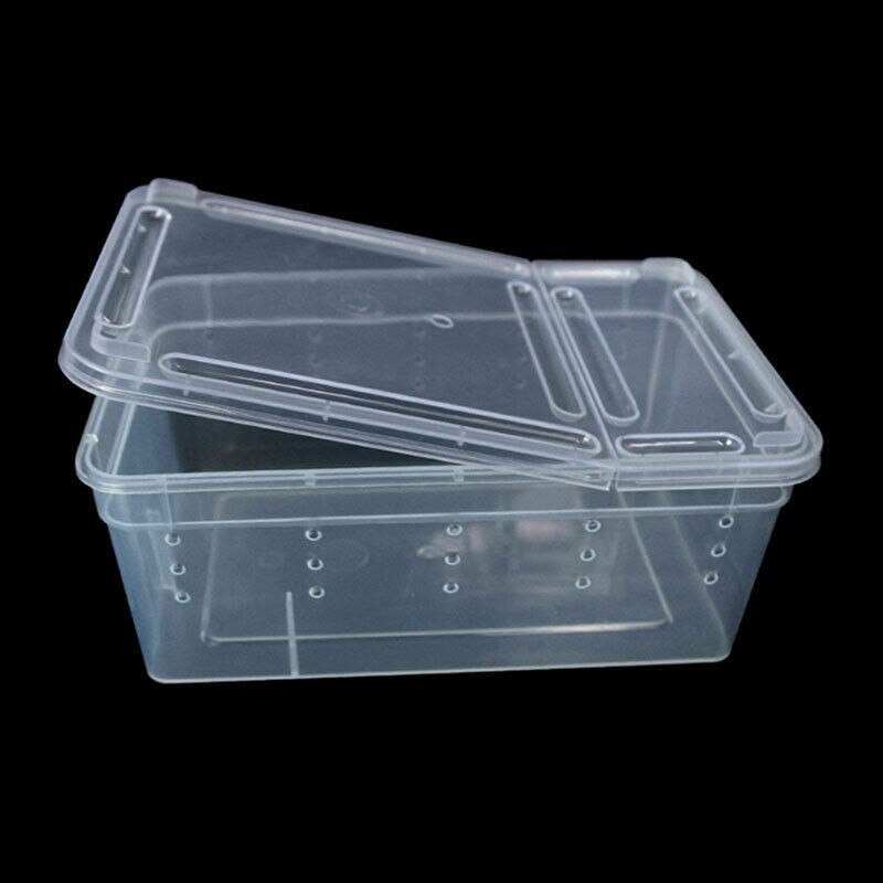 Transparent Plastic Box Insect Reptile Transport B... – Vicedeal