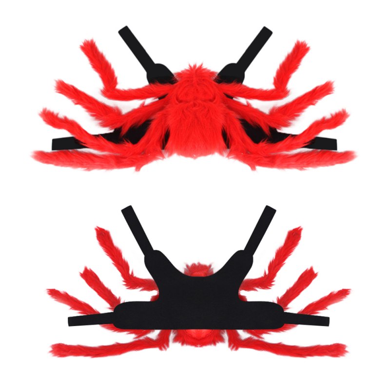 Halloween Pet Spider Clothes Black Spider Cat Cosp... – Grandado