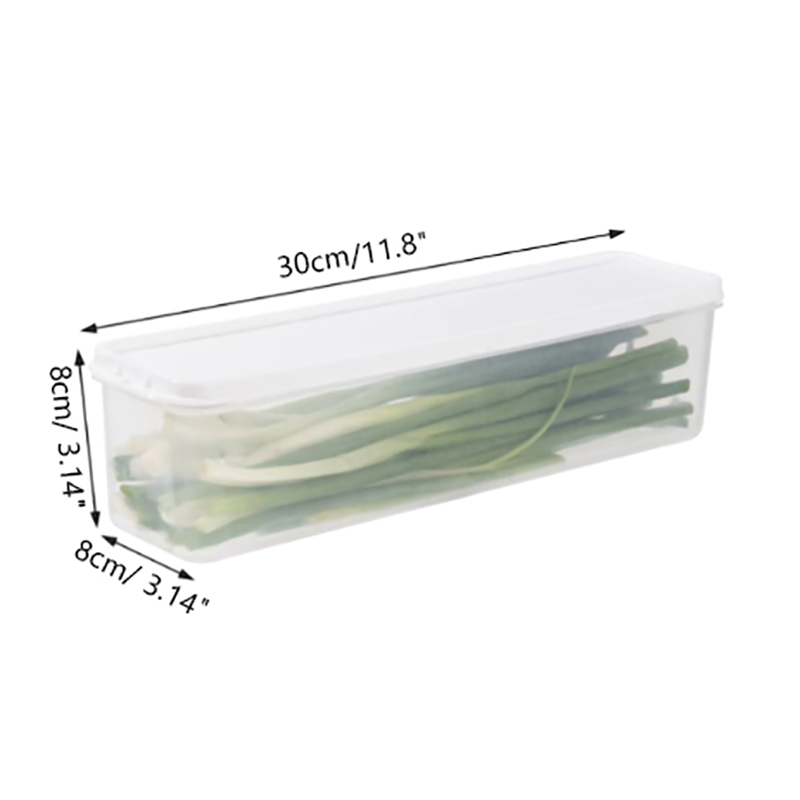 Refrigerator Storage Boxes Scallions Fresh Box Foo... – Vicedeal
