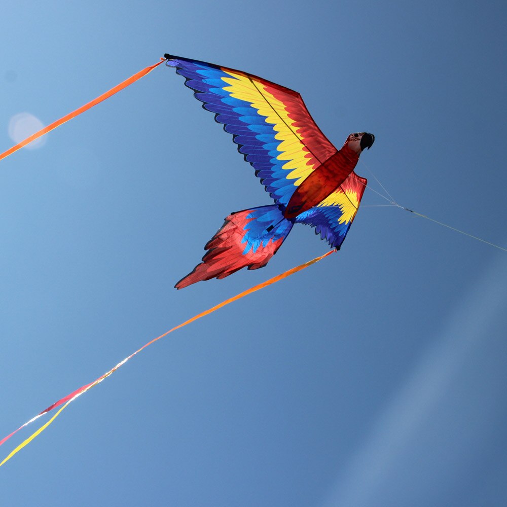 3D solid parrot kite for kids children audlts bird... – Grandado