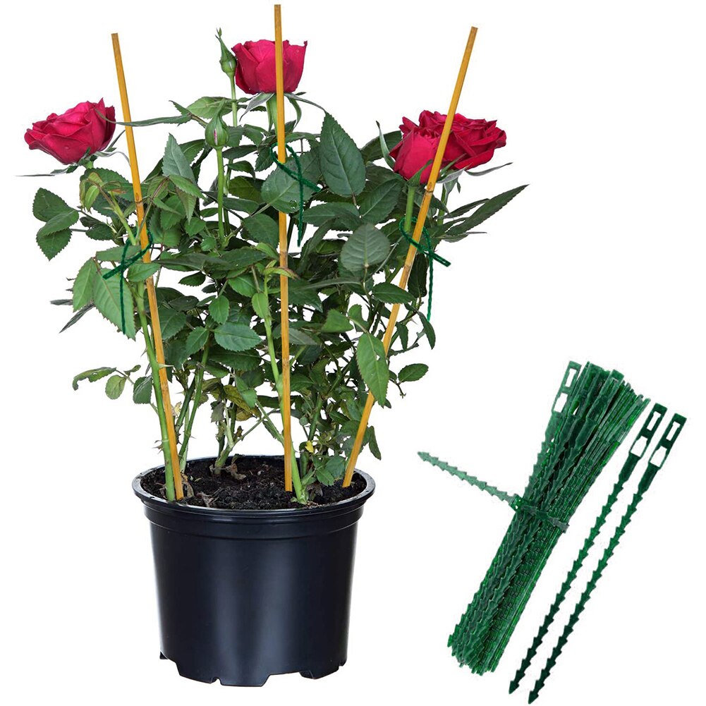 38Pcs Plant Support Stakes, Garden Single Stem Sup... – Grandado