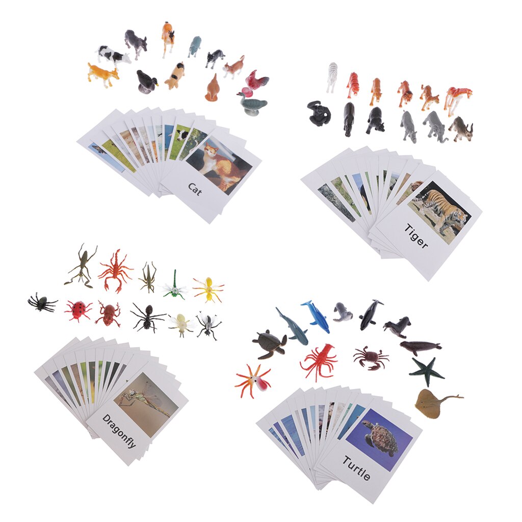 48pc Insects Animals Model Card Toy Kids Learning ... – Vicedeal
