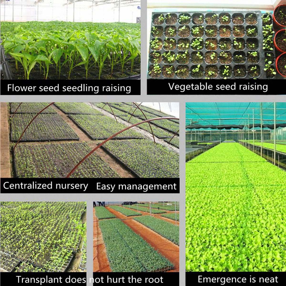 200 Holes Seedling Starter Planting Tray Extra Str... – Grandado