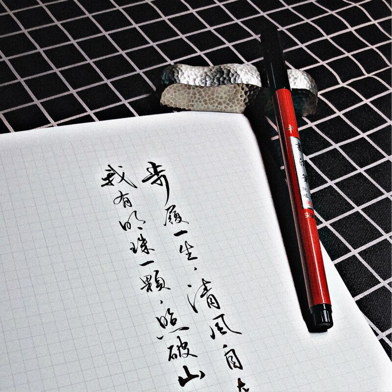 Calligraphy pens Dual Tips, Brush Tips for Calligr... – Vicedeal