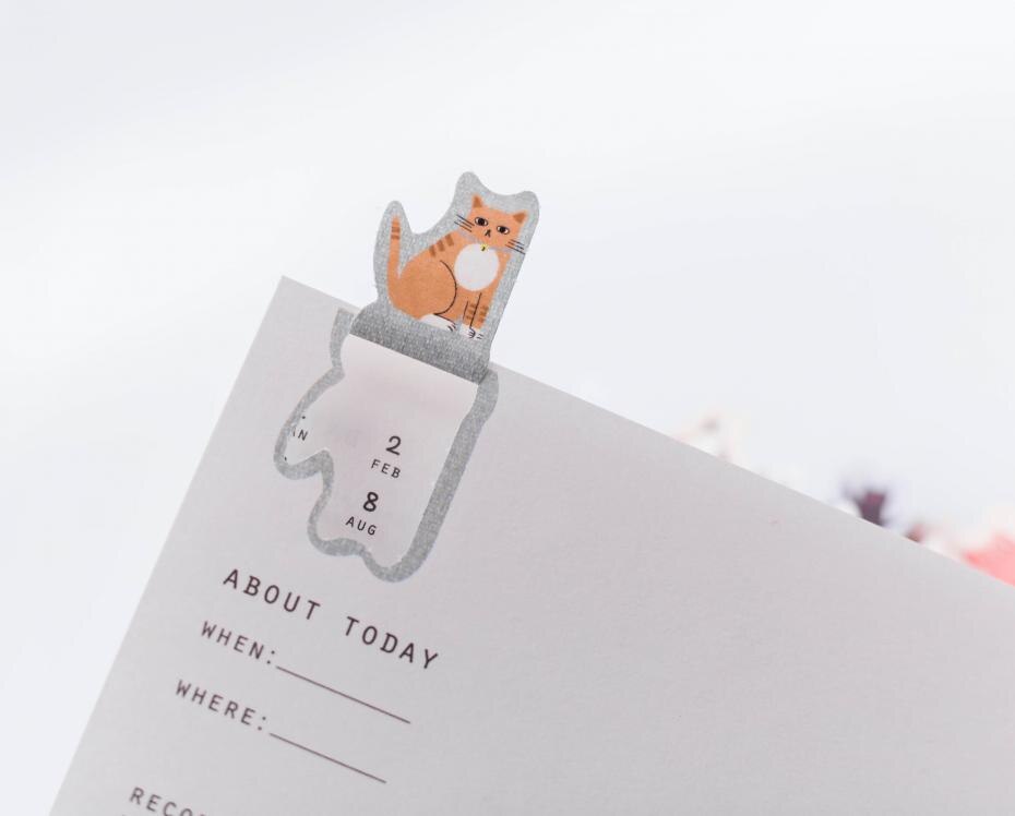 Korean Kawaii Cute Cat Home Daily Schedule Persona... – Grandado