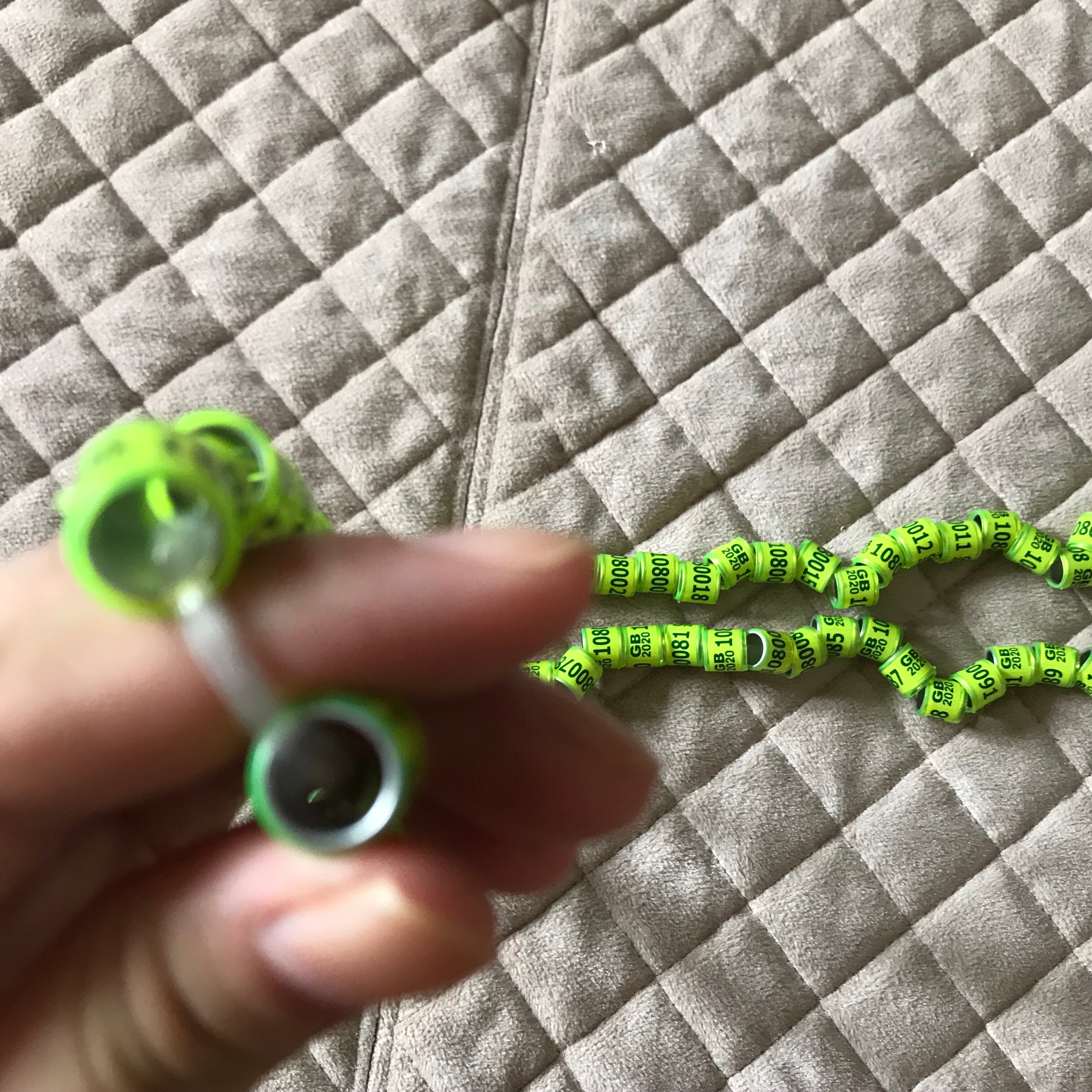 Geel Duivenringen Gb Vogels Ring 8Mm 100 Stks/part... – Grandado